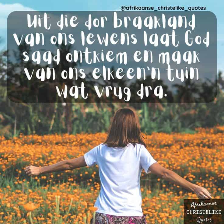 CHRISTELIKE / CHRISTIAN QUOTES – MoederLiefde