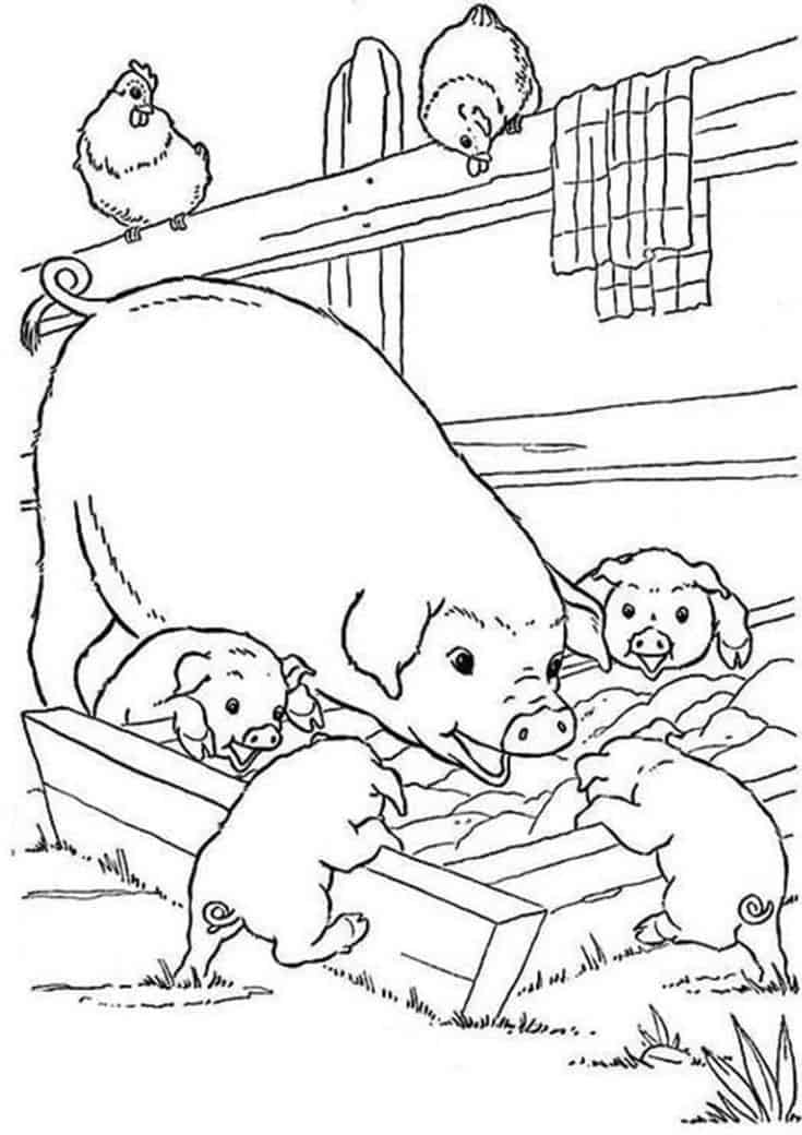 PLAAS INKLEUR PRENTE / FARM COLOURING PAGES – MoederLiefde